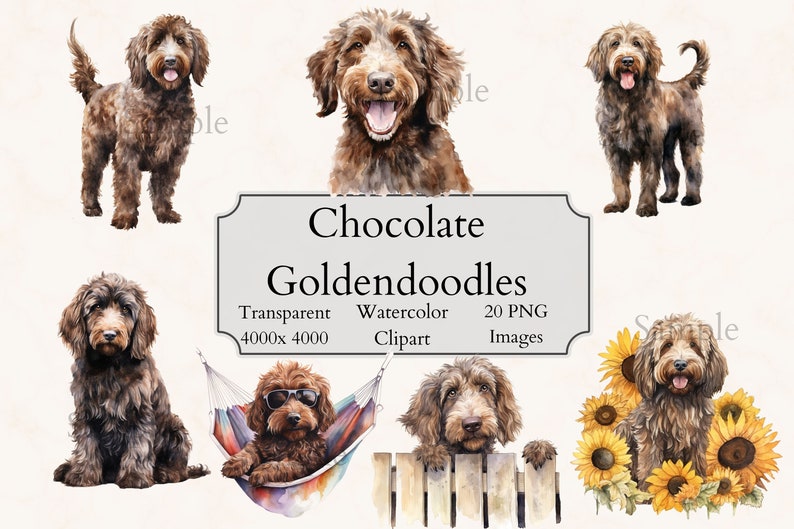 20 Cute Chocolate Goldendoodle Watercolor Clipart PNG Files ...
