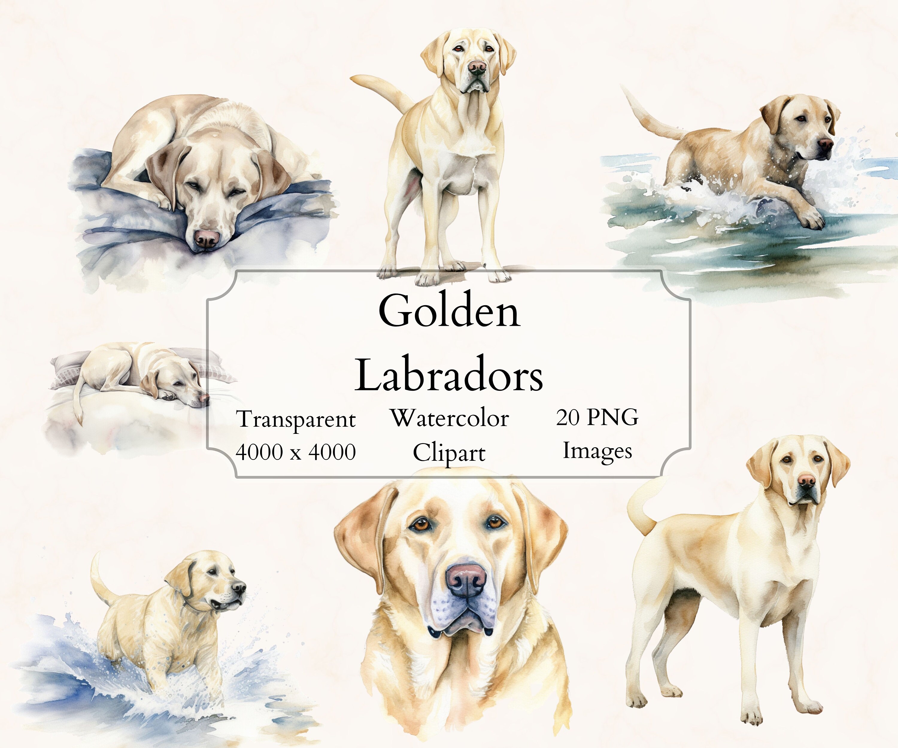 20 Cute Golden Labrador Watercolor Clipart PNG Files, Transparent ...