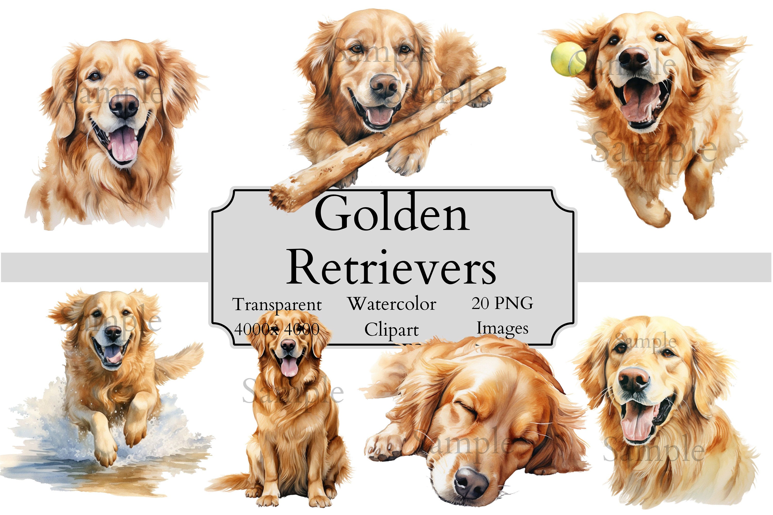 20 Cute Golden Retrievers Watercolor Clipart PNG Files, Transparent ...