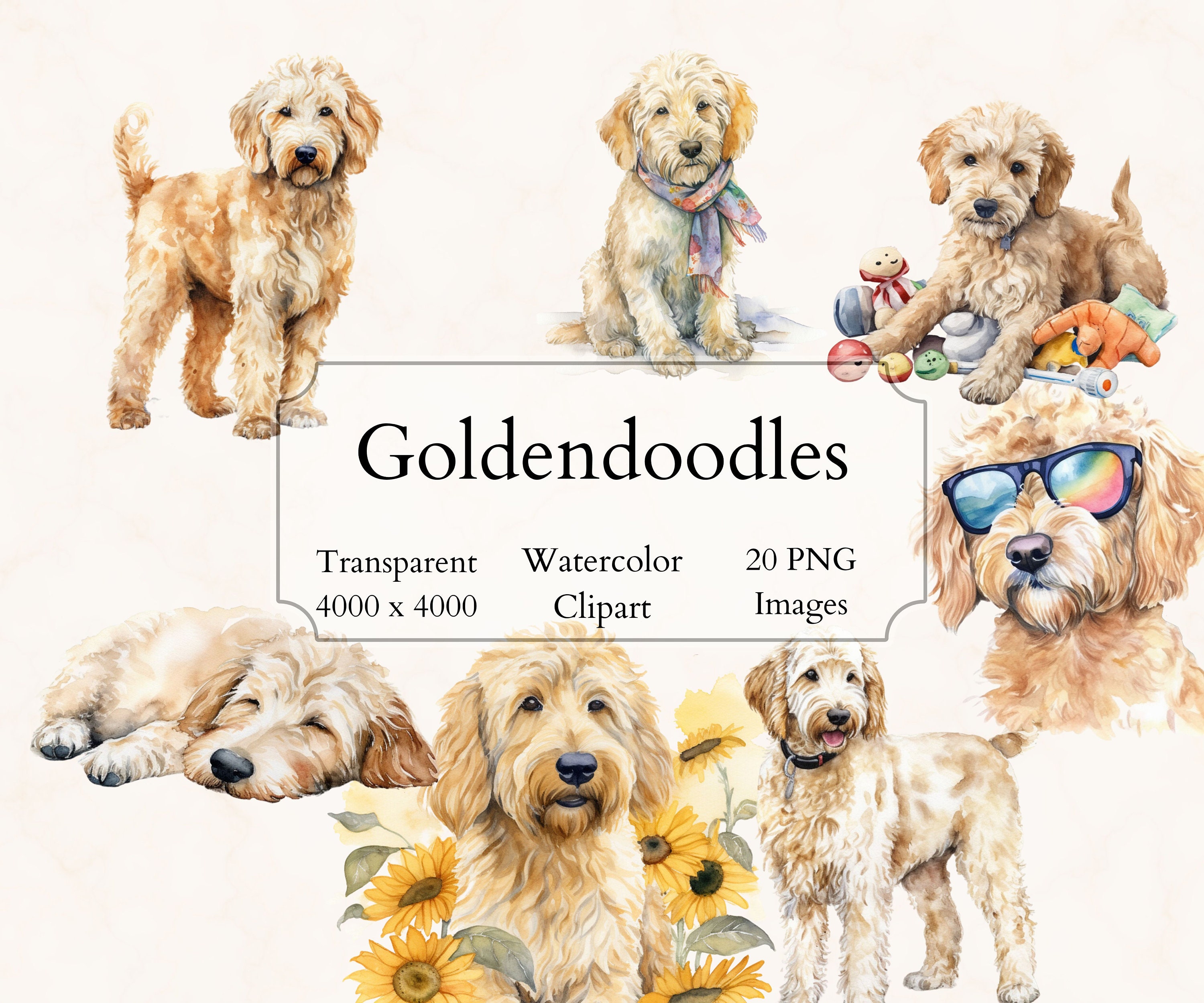 20 Cute Goldendoodle Watercolor Clipart PNG Files, Transparent ...