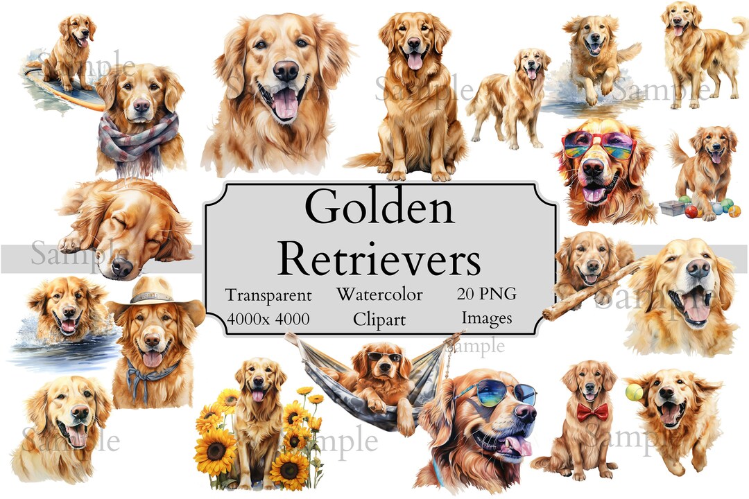 20 Cute Golden Retrievers Watercolor Clipart PNG Files, Transparent Golden Retriever Clipart ...