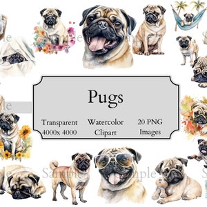 20 Cute Pug Watercolor Clipart PNG Files, Transparent Pugs Clipart ...