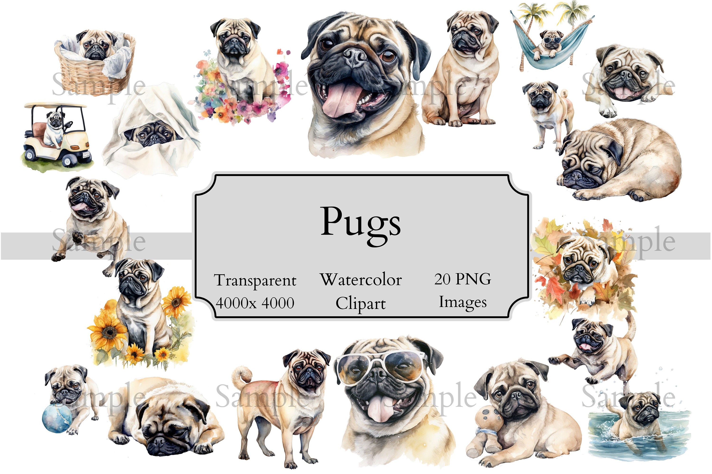 20 Cute Pug Watercolor Clipart PNG Files, Transparent Pugs Clipart ...