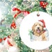 12 Christmas Goldendoodle Watercolor Clipart PNG Files, Transparent ...