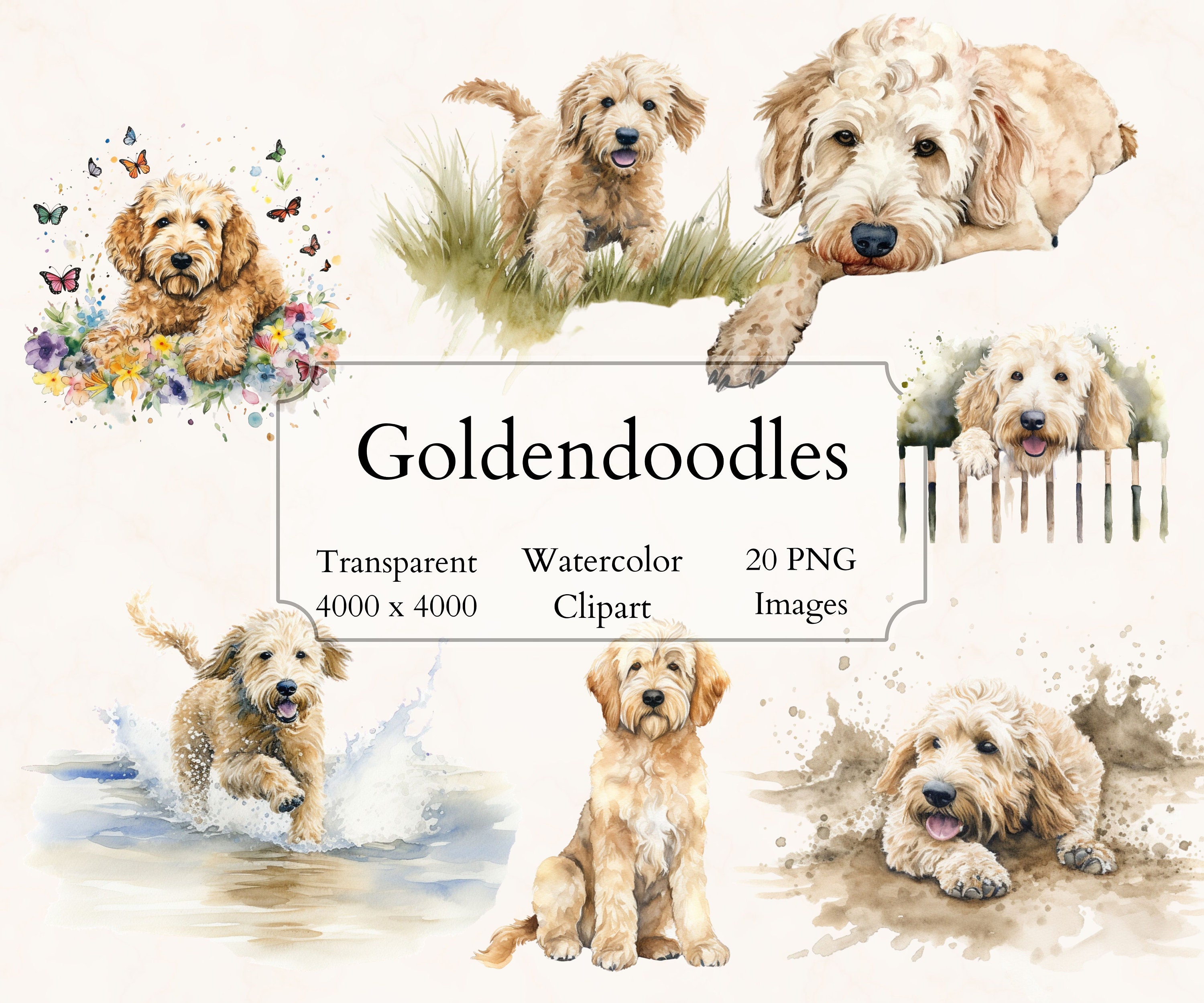 20 Cute Goldendoodle Watercolor Clipart PNG Files, Transparent ...