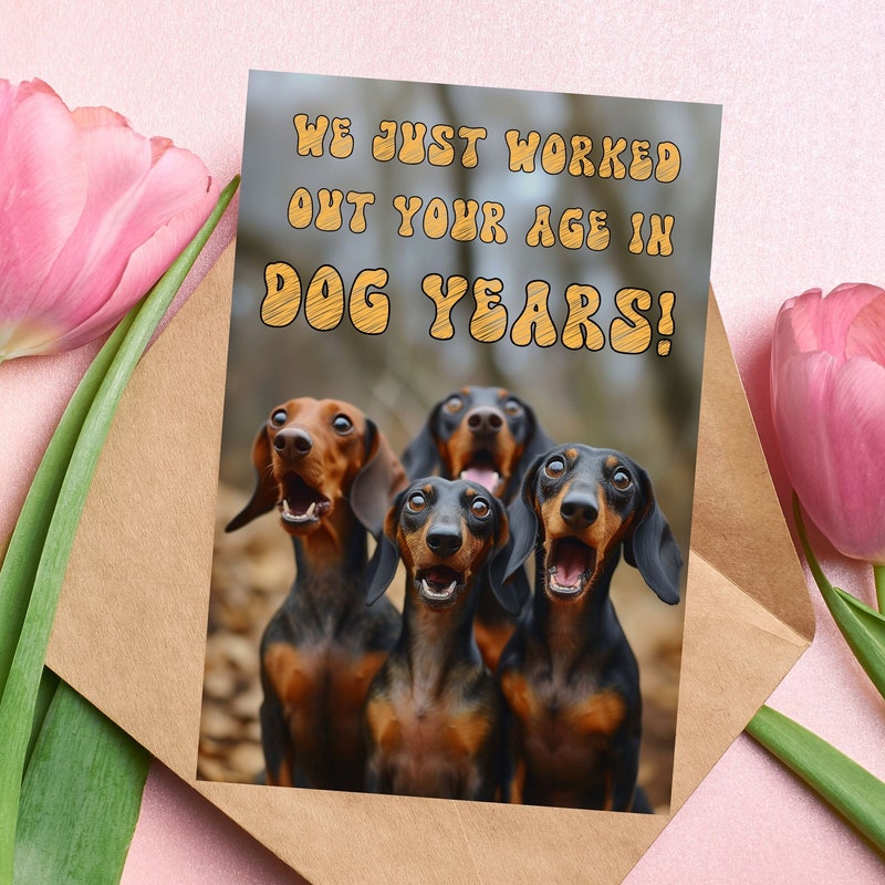 Dachshund Birthday Card - Etsy