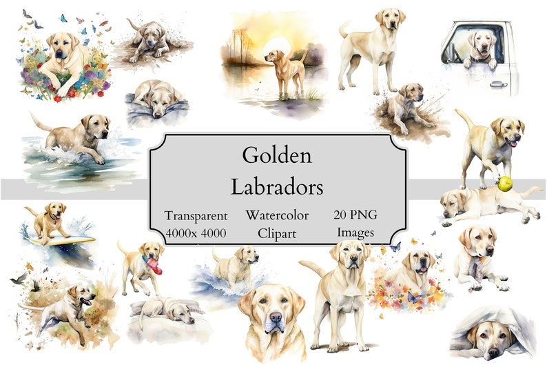 20 Cute Golden Labrador Watercolor Clipart PNG Files, Transparent ...