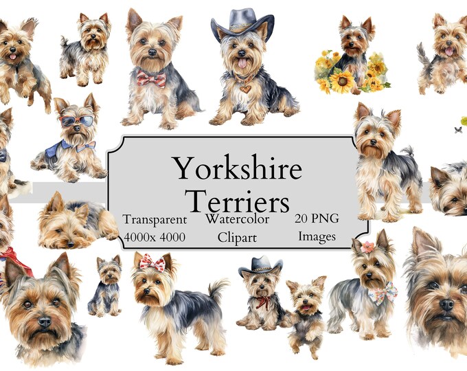 Yorkshire Terrier Clipart Bundle/instant Download 25 Png's/yorkie Lover ...