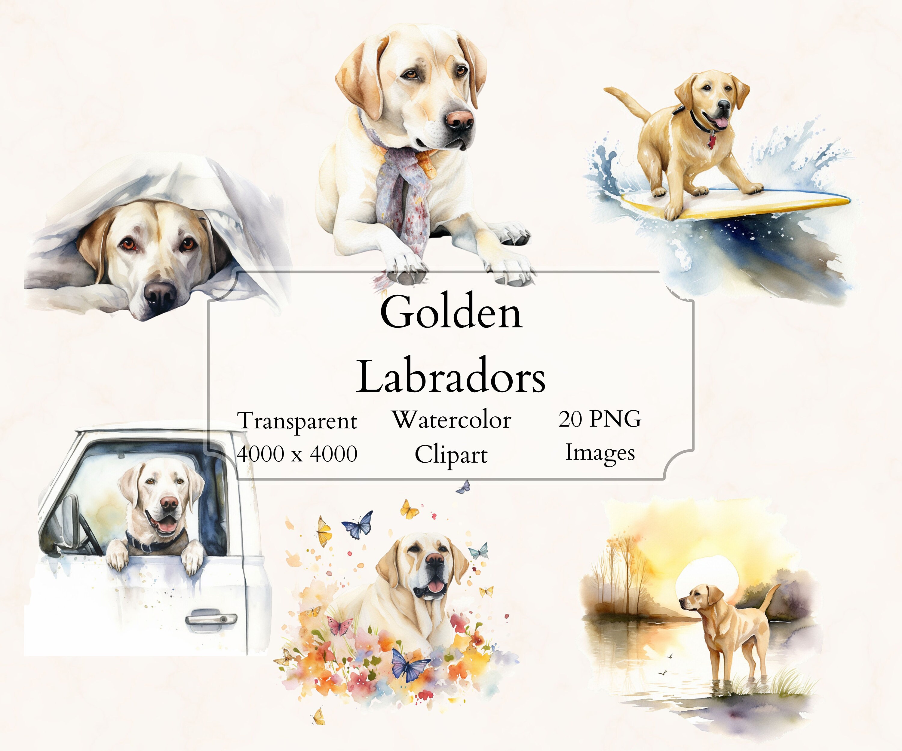 20 Cute Golden Labrador Watercolor Clipart PNG Files, Transparent ...