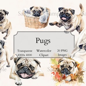 20 Cute Pug Watercolor Clipart PNG Files, Transparent Pugs Clipart ...