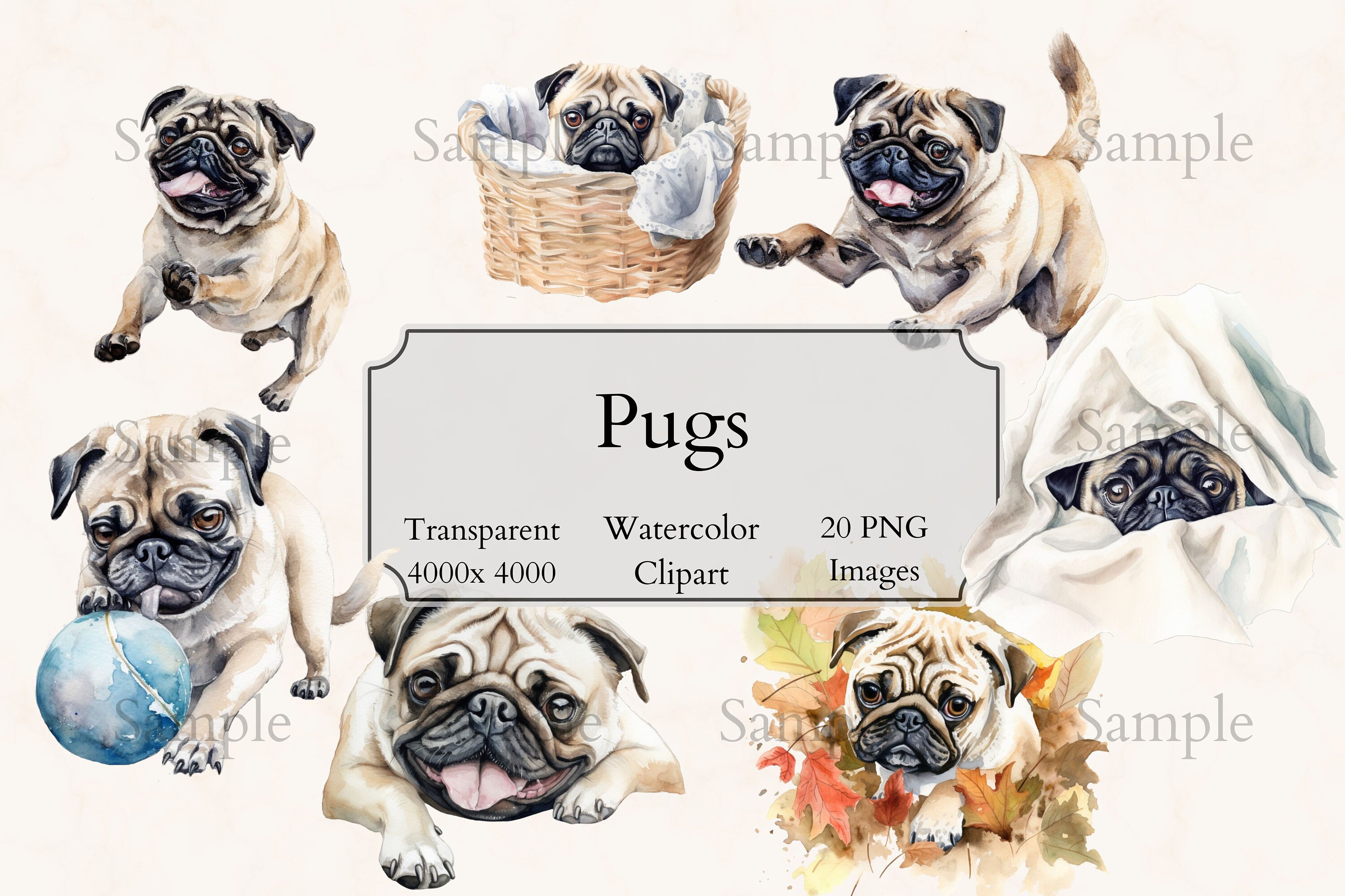 20 Cute Pug Watercolor Clipart PNG Files, Transparent Pugs Clipart ...