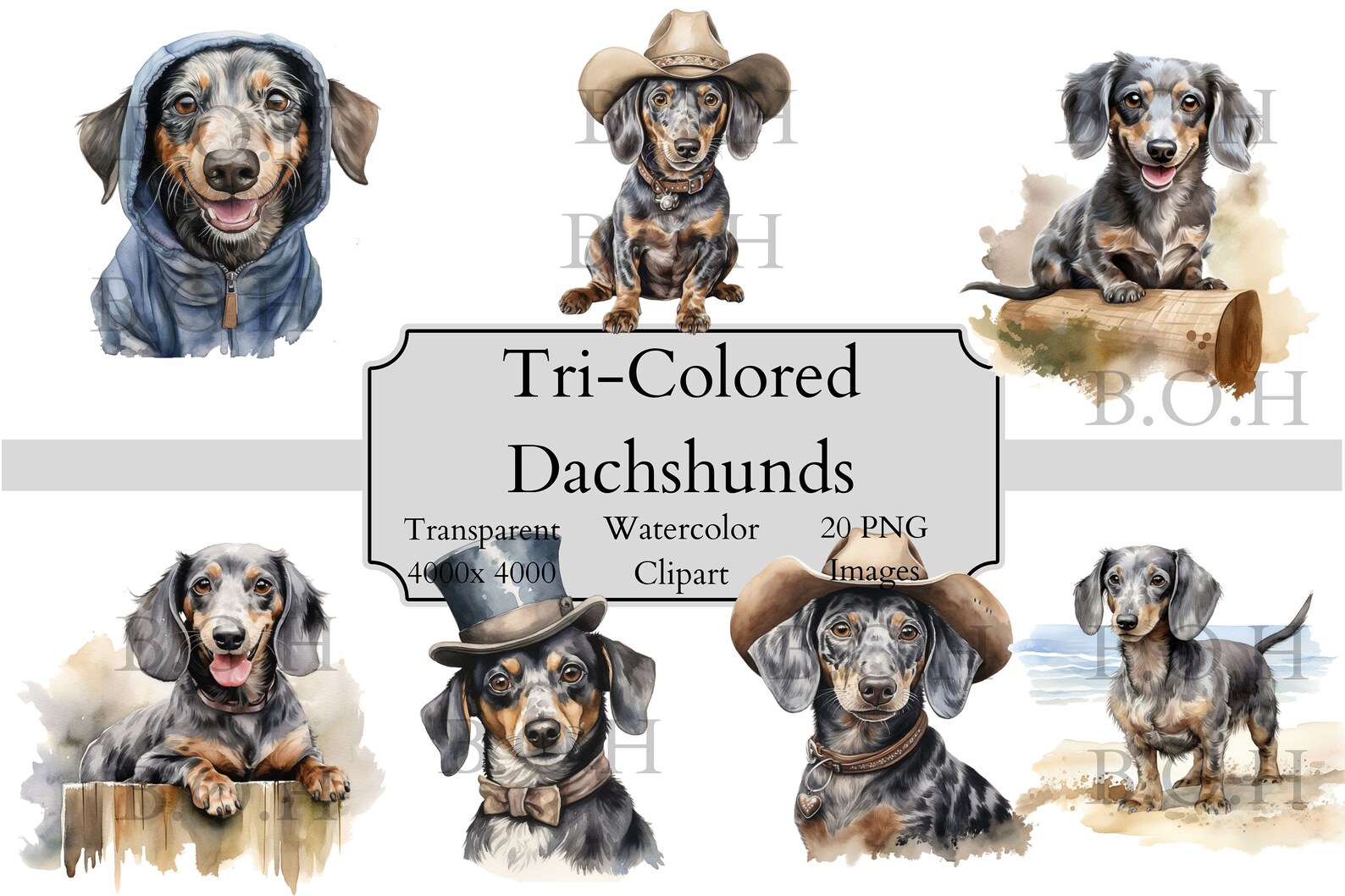 20 Cute Tri Colored Dachshund Watercolor Clipart PNG Files, Transparent ...
