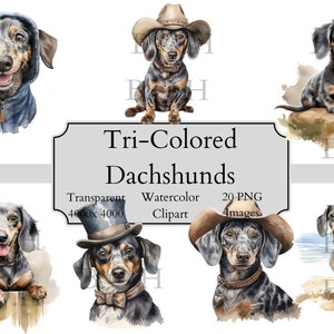 20 Cute Tri Colored Dachshund Watercolor Clipart PNG Files, Transparent ...