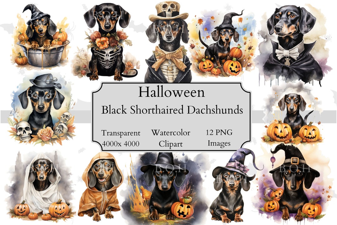 12 Halloween Themed Dachshund Watercolor Clipart PNG Files, Transparent ...