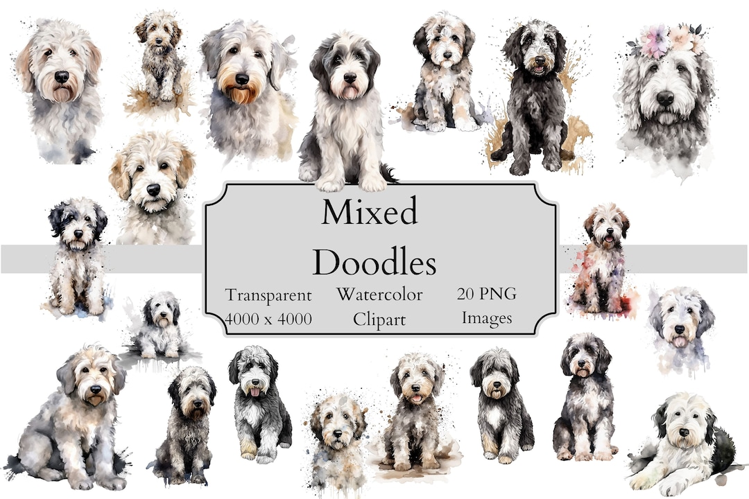 20 Cute Mixed Goldendoodle Watercolor Puppies Clipart PNG Files ...