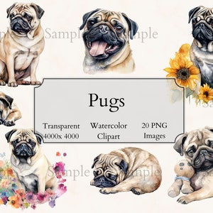 20 Cute Pug Watercolor Clipart PNG Files, Transparent Pugs Clipart ...