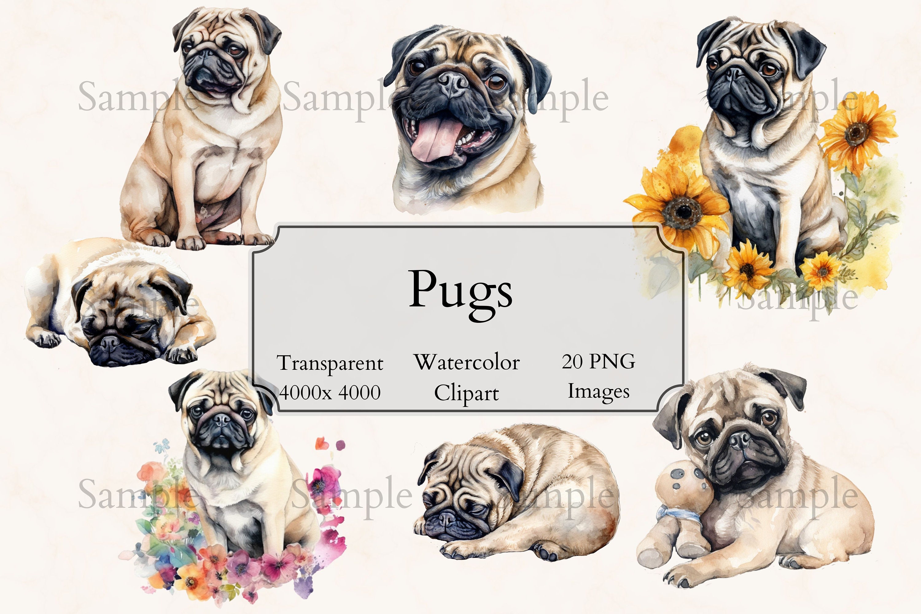 20 Cute Pug Watercolor Clipart PNG Files, Transparent Pugs Clipart ...