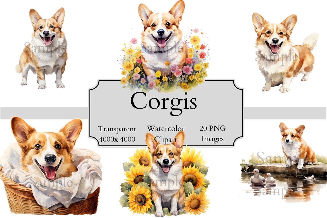 20 Cute Corgi Watercolor Clipart PNG Files, Transparent Corgi Clipart ...