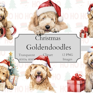 12 Christmas Goldendoodle Watercolor Clipart PNG Files, Transparent ...