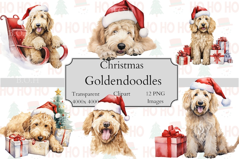 12 Christmas Goldendoodle Watercolor Clipart PNG Files, Transparent ...