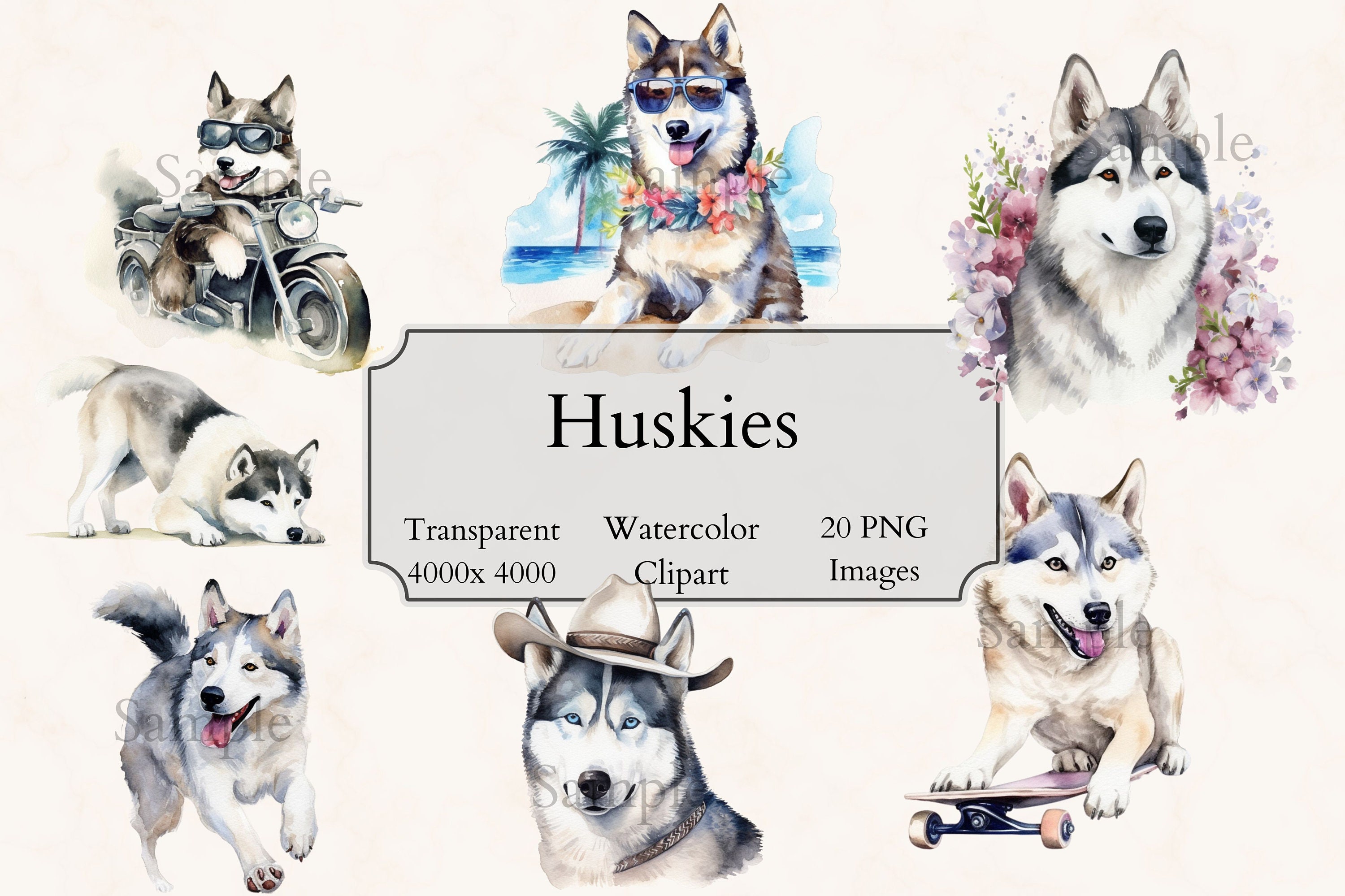 20 Cute Siberian Huskies Watercolor Clipart PNG Files, Transparent ...