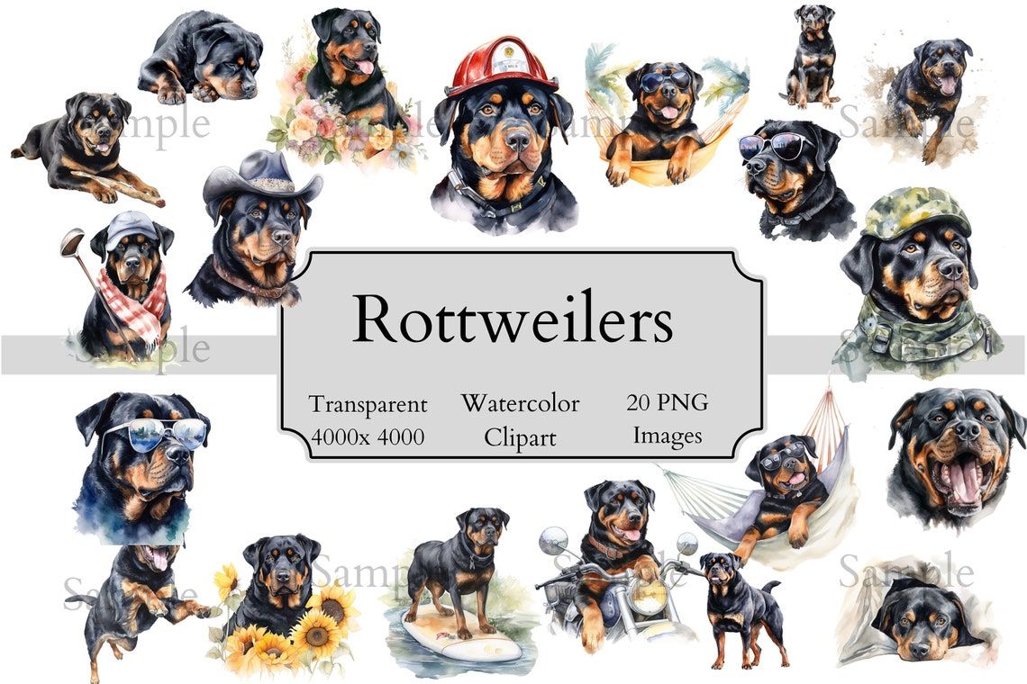 20 Cute Rottweiler Watercolor Clipart PNG Files, Transparent Rottweiler ...
