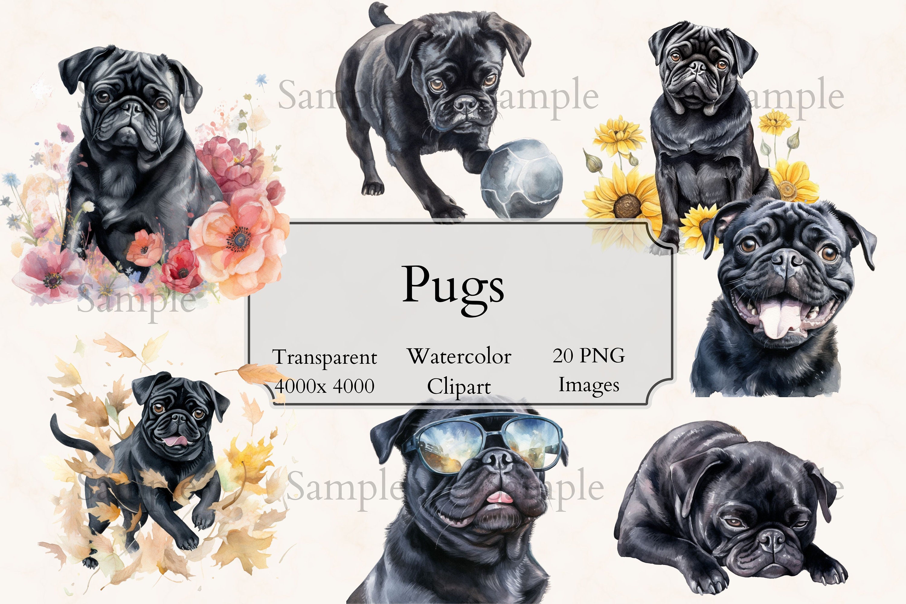 20 Cute Black Pug Watercolor Clipart PNG Files, Transparent Pugs ...