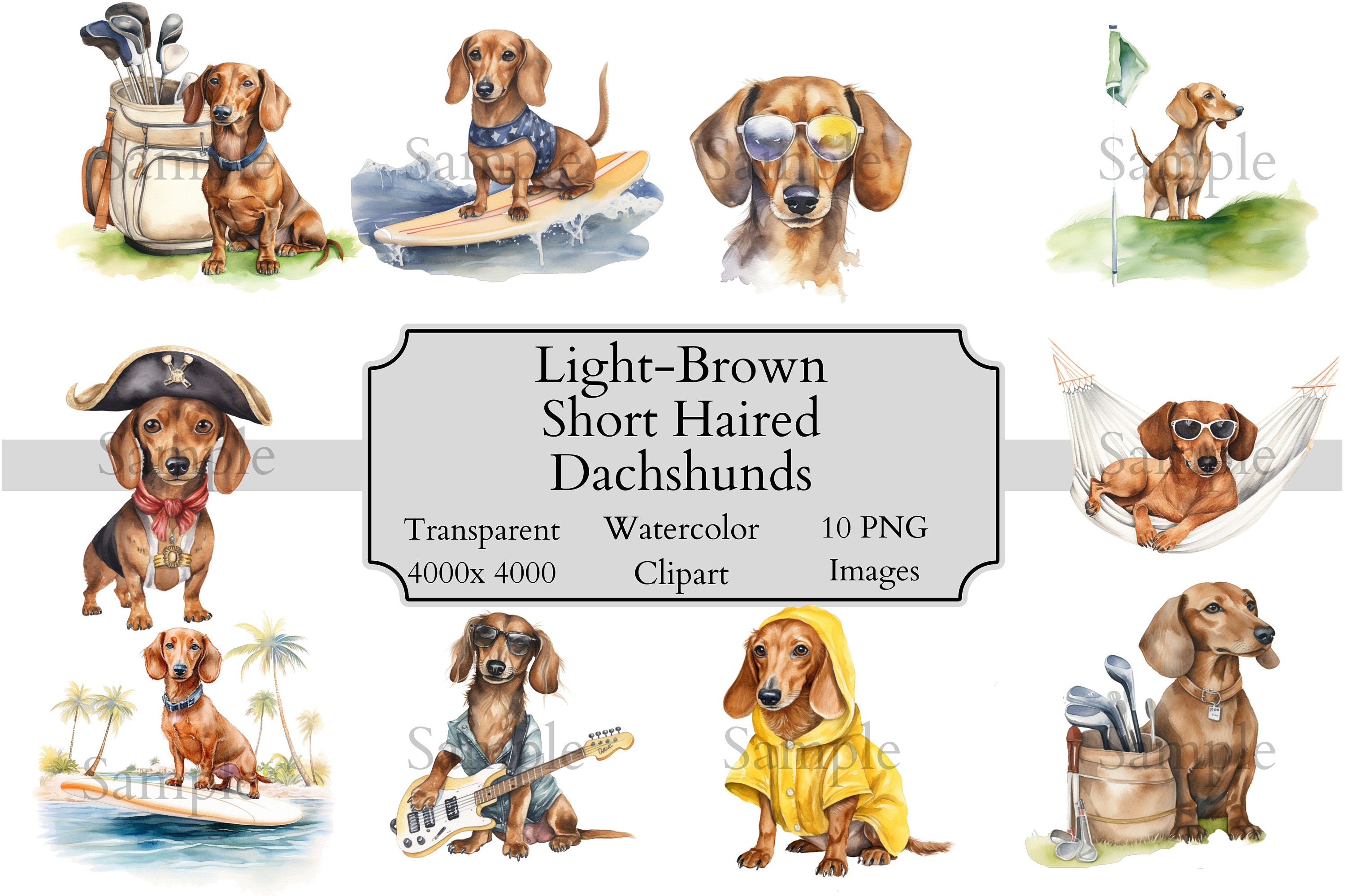 10 Cute Light Brown Short Haired Dachshund Watercolor Clipart PNG Files ...