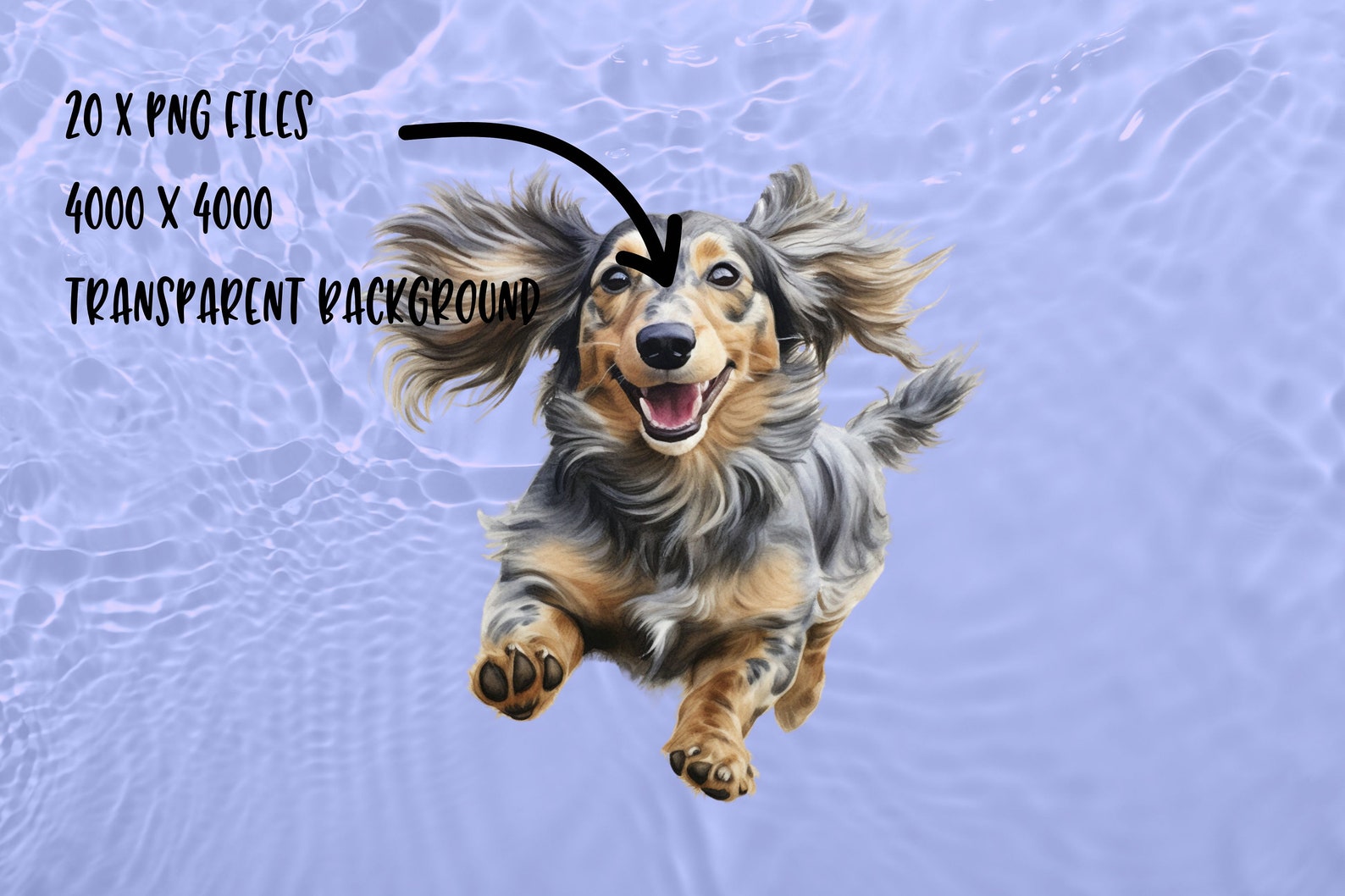 20 Cute Tri Colored Dachshund Watercolor Clipart PNG Files, Transparent ...