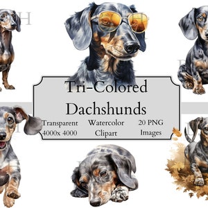 20 Cute Tri Colored Dachshund Watercolor Clipart PNG Files, Transparent ...
