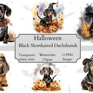 12 Halloween Themed Dachshund Watercolor Clipart PNG Files, Transparent ...