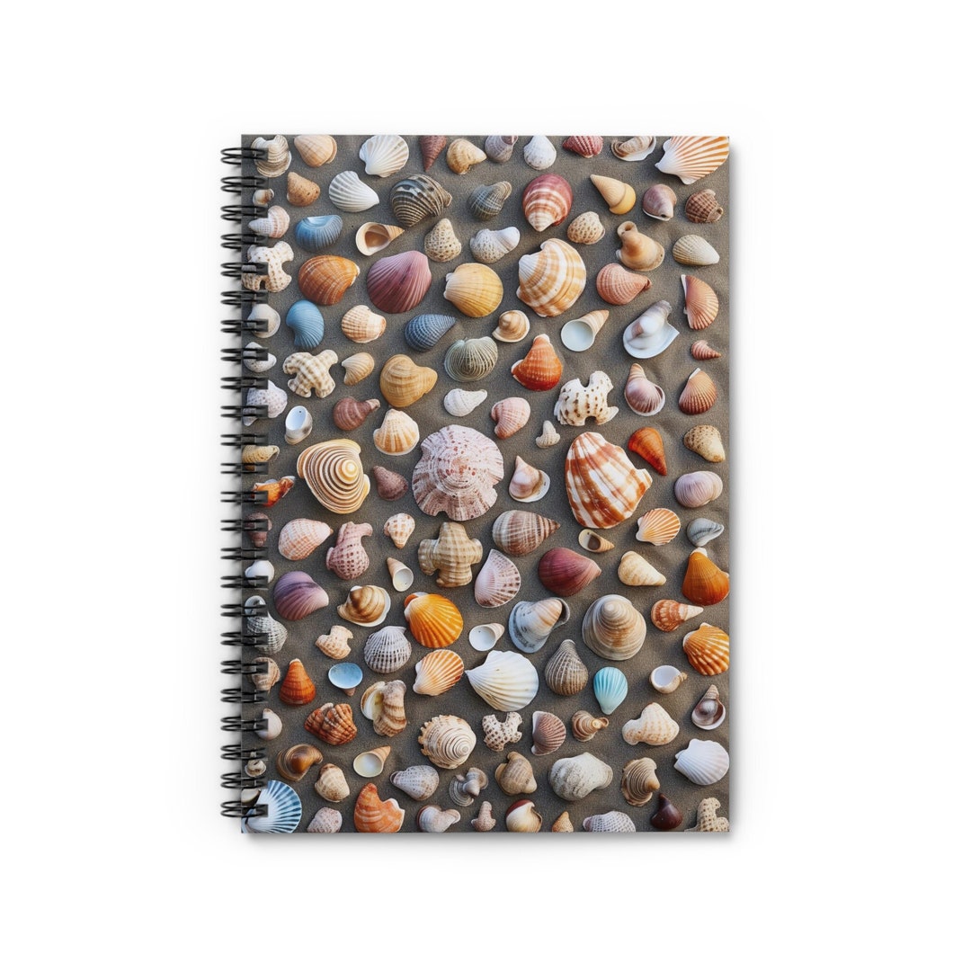Seashells Notebook | Spiral Notebook | Ruled Line | College Graduate ...