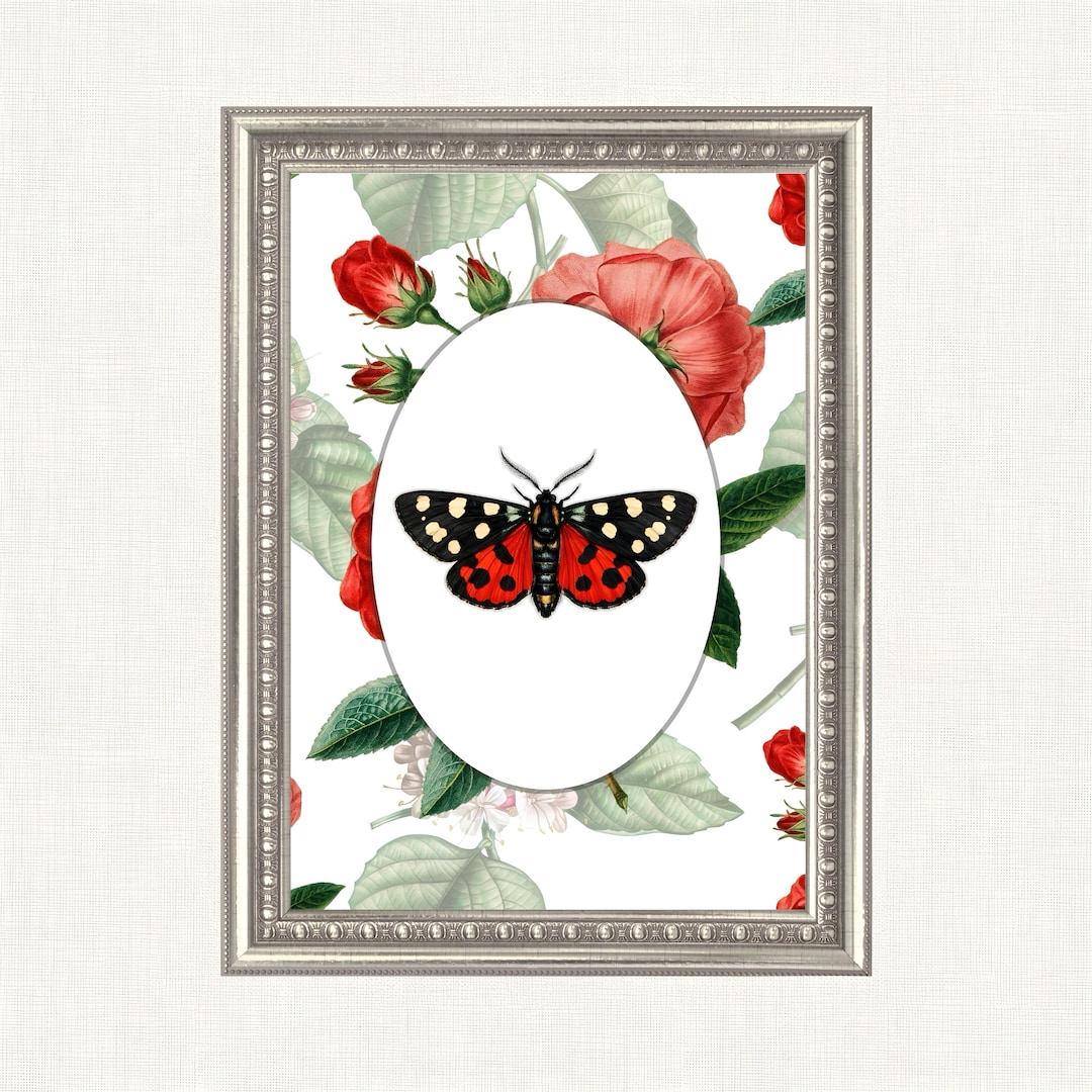 Victorian Moth in Rose Garden Printable Art | Vintage Botanical Insect ...