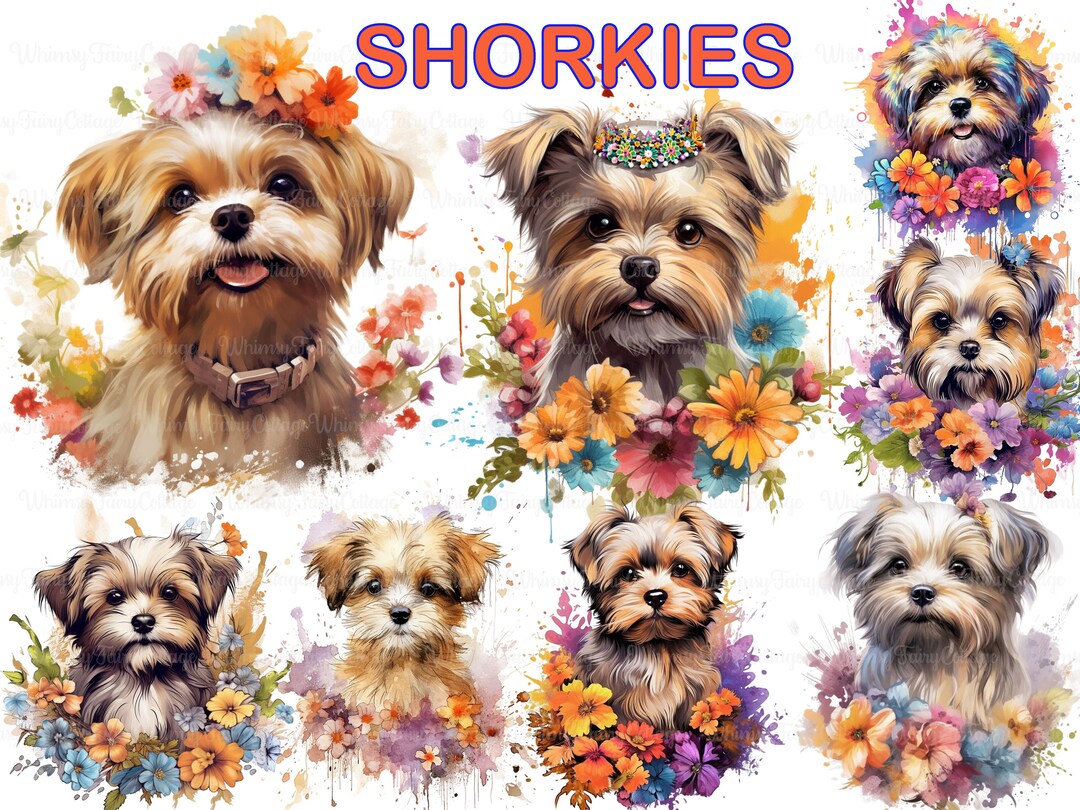 Shorkie Dog Clipart PNG Transparent, Floral Dog Pet PNG, Yorkshire ...