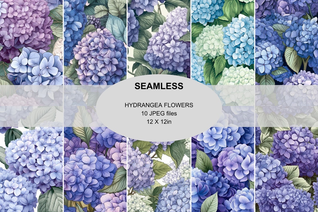Hydrangea Seamless Pattern, Hydrangea Flowers Repeating Patterns ...