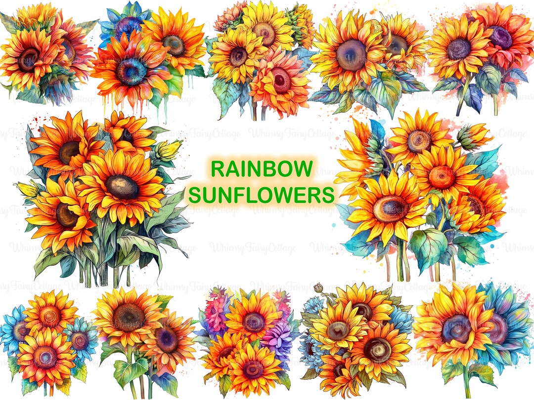 Watercolor Rainbow Sunflowers Clipart, Sunflower Transparent PNG ...
