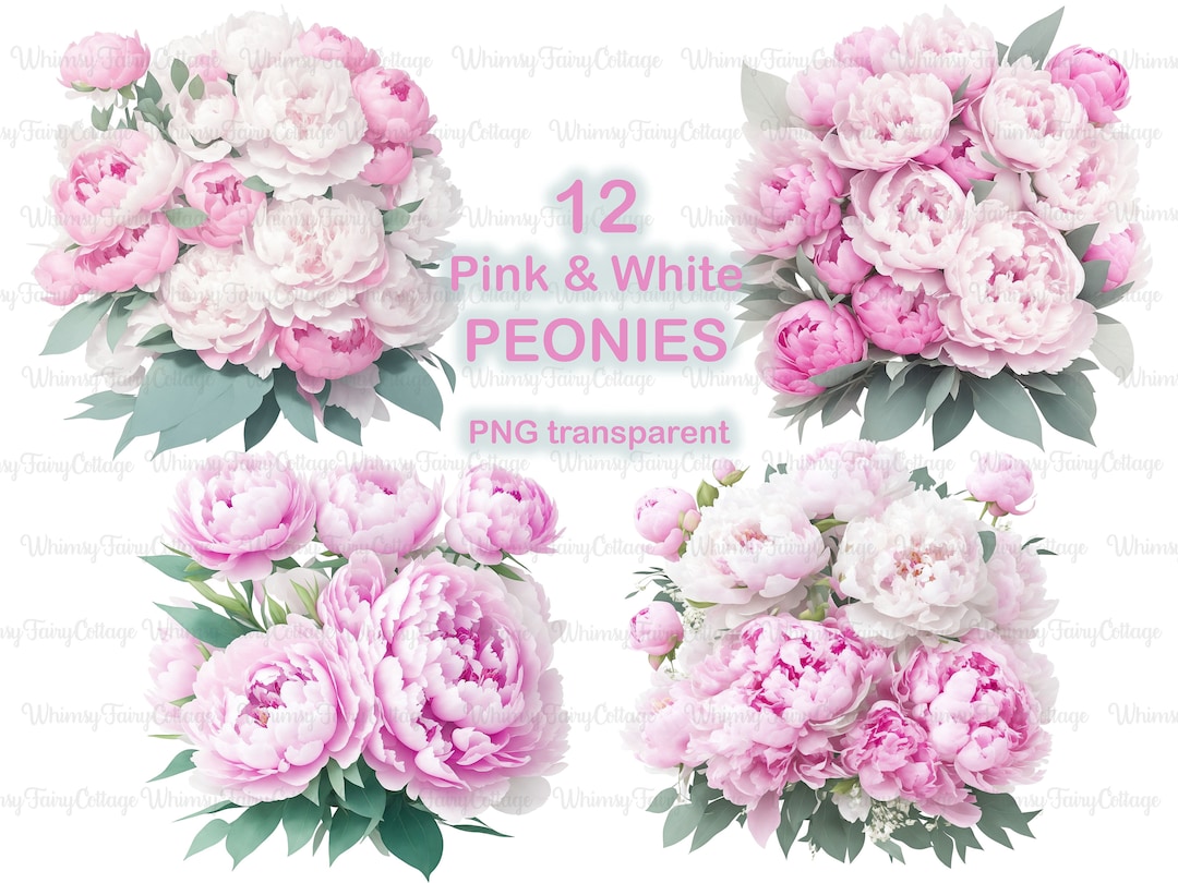Pink and White Peony Clipart PNG Transparent, Peony Bouquets Digital ...
