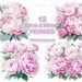 20 Purple and Pink Roses Border Clipart PNG, Bridal Cardmaking Floral ...