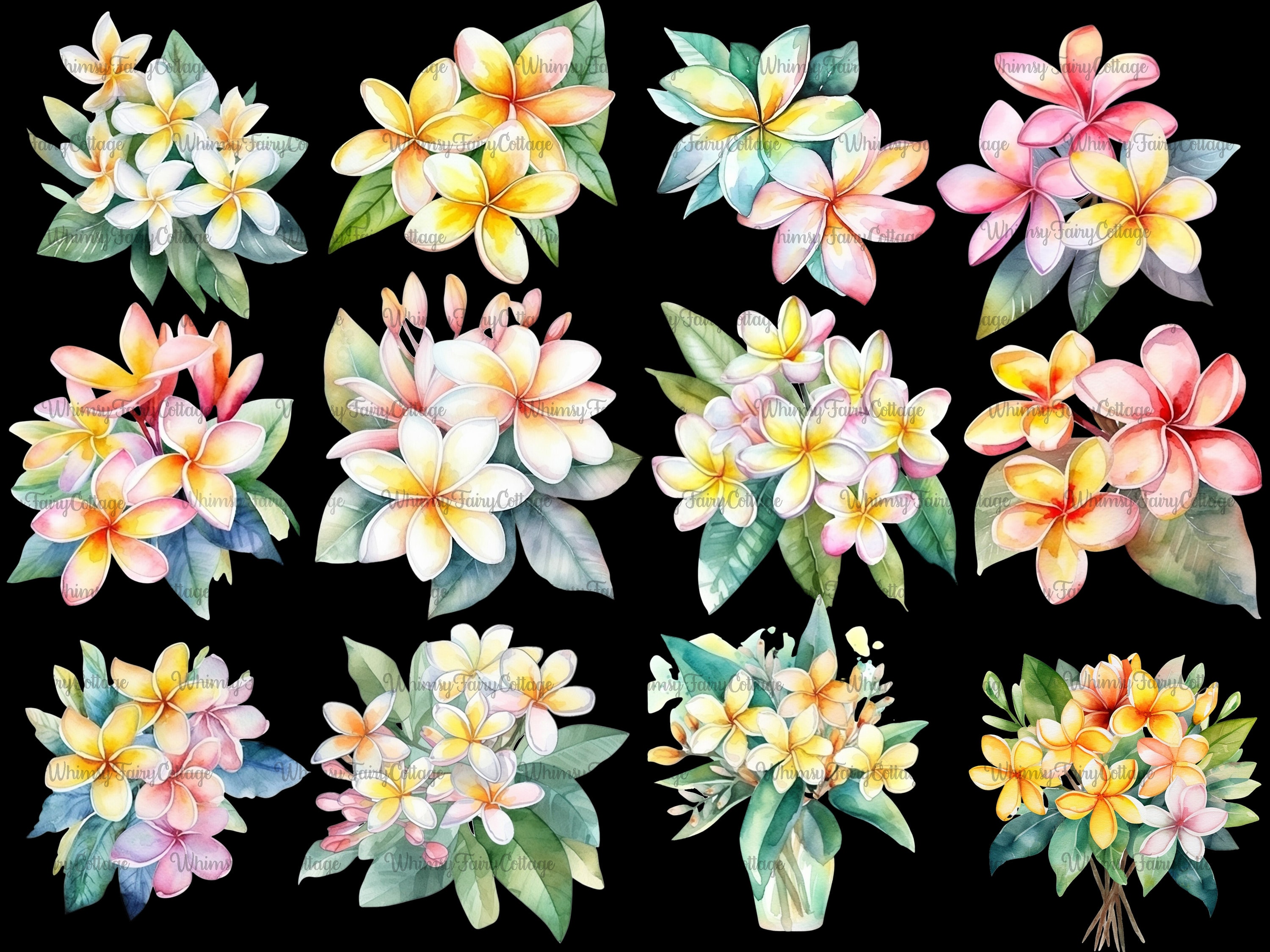 12 Watercolor Plumeria Clipart, PNG Plumerias, Lei Hawaiian Flowers ...