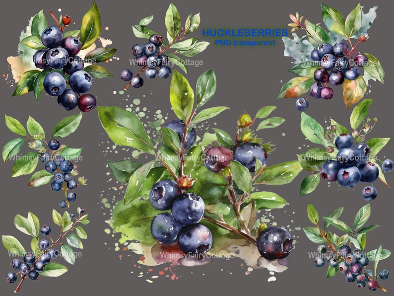 Huckleberries PNG Clipart, Berries With a Branch Digital Clip Art ...