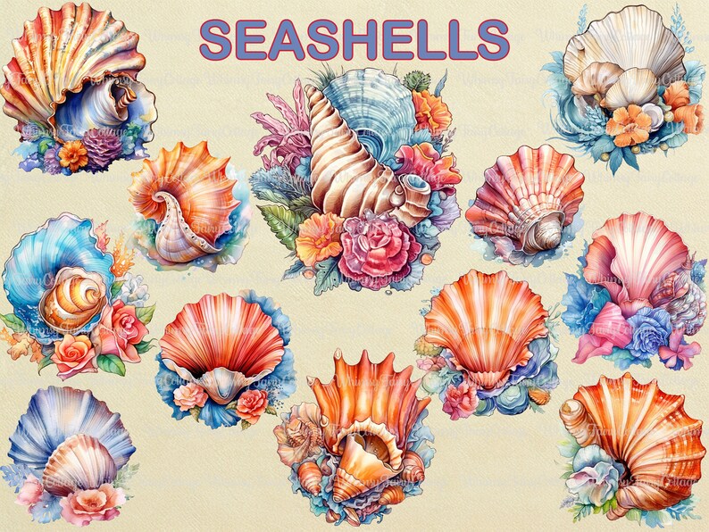 Seashells Clipart PNG Transparent, Colorful Floral Sea Shells Digital ...