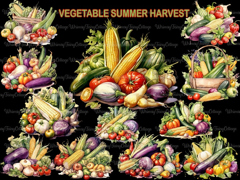 Vegetable Summer Harvest Clipart, Garden Vegetables PNG Cardmaking ...