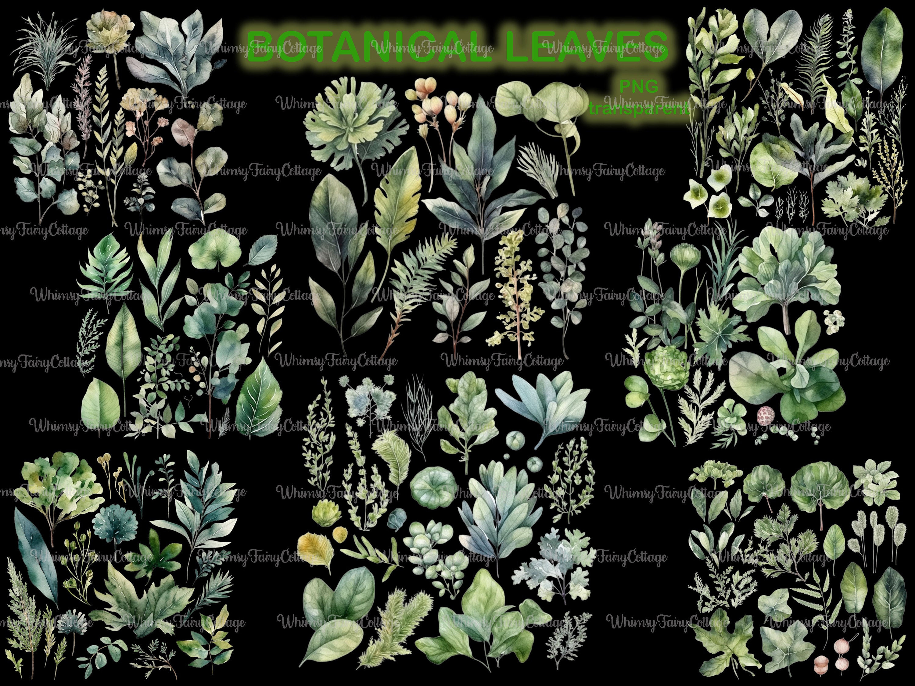Botanical Leaf Clipart PNG Transparent, Green Leaves Borders PNG, Green ...