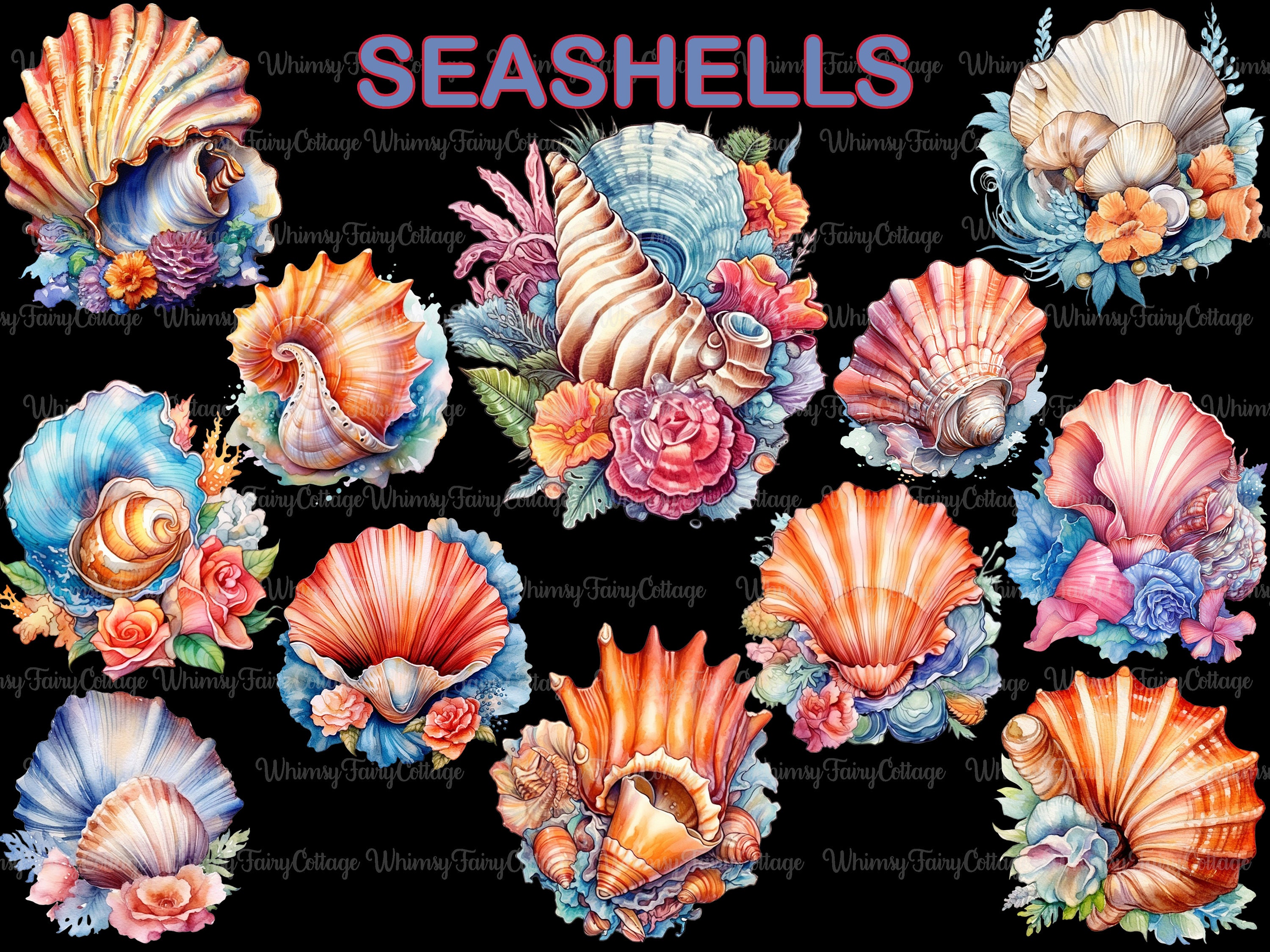 Seashells Clipart PNG Transparent, Colorful Floral Sea Shells Digital ...