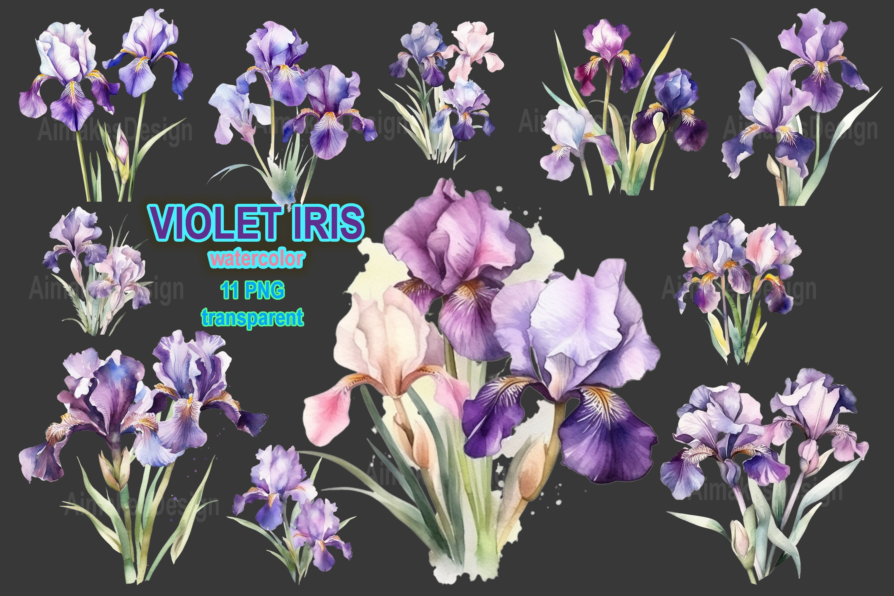 Blue Violet Iris Clipart PNG Transparent, Purple Pink Iris Flowers PNG ...