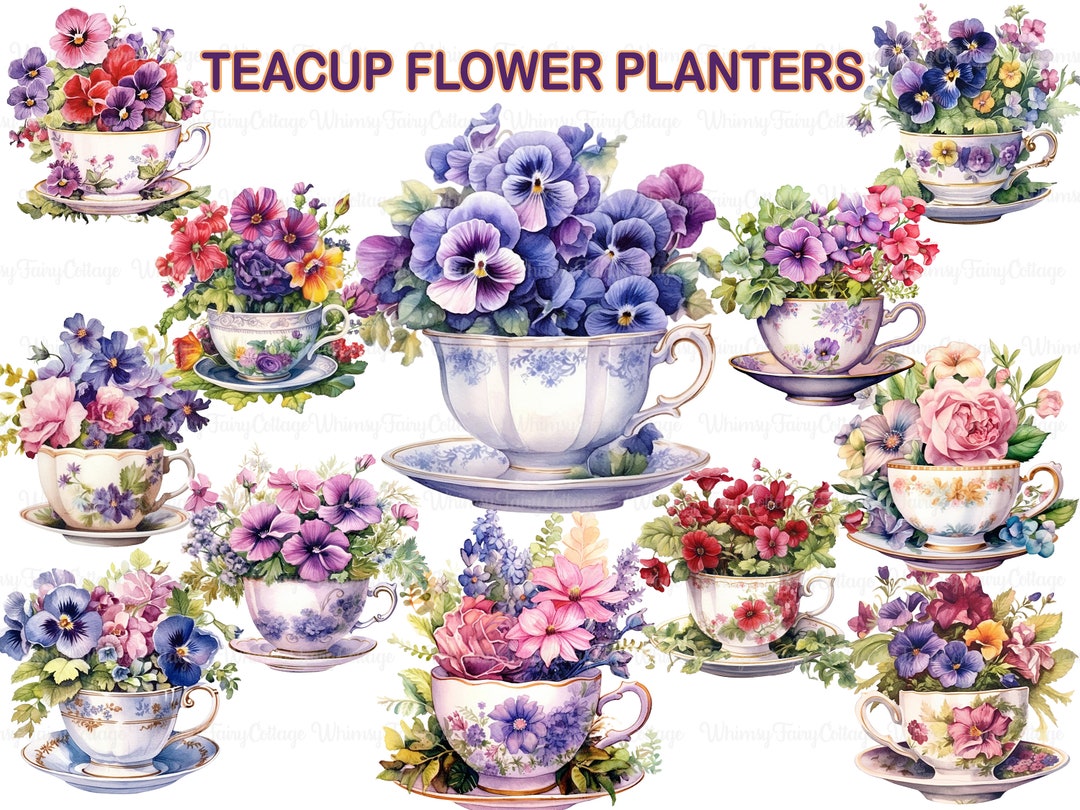 Teacup Flower Planter Clipart PNG Transparent, Floral Teacup Saucers ...