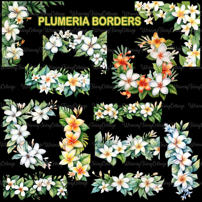 12 Plumeria Border Clipart Flower Borders PNG Watercolor - Etsy