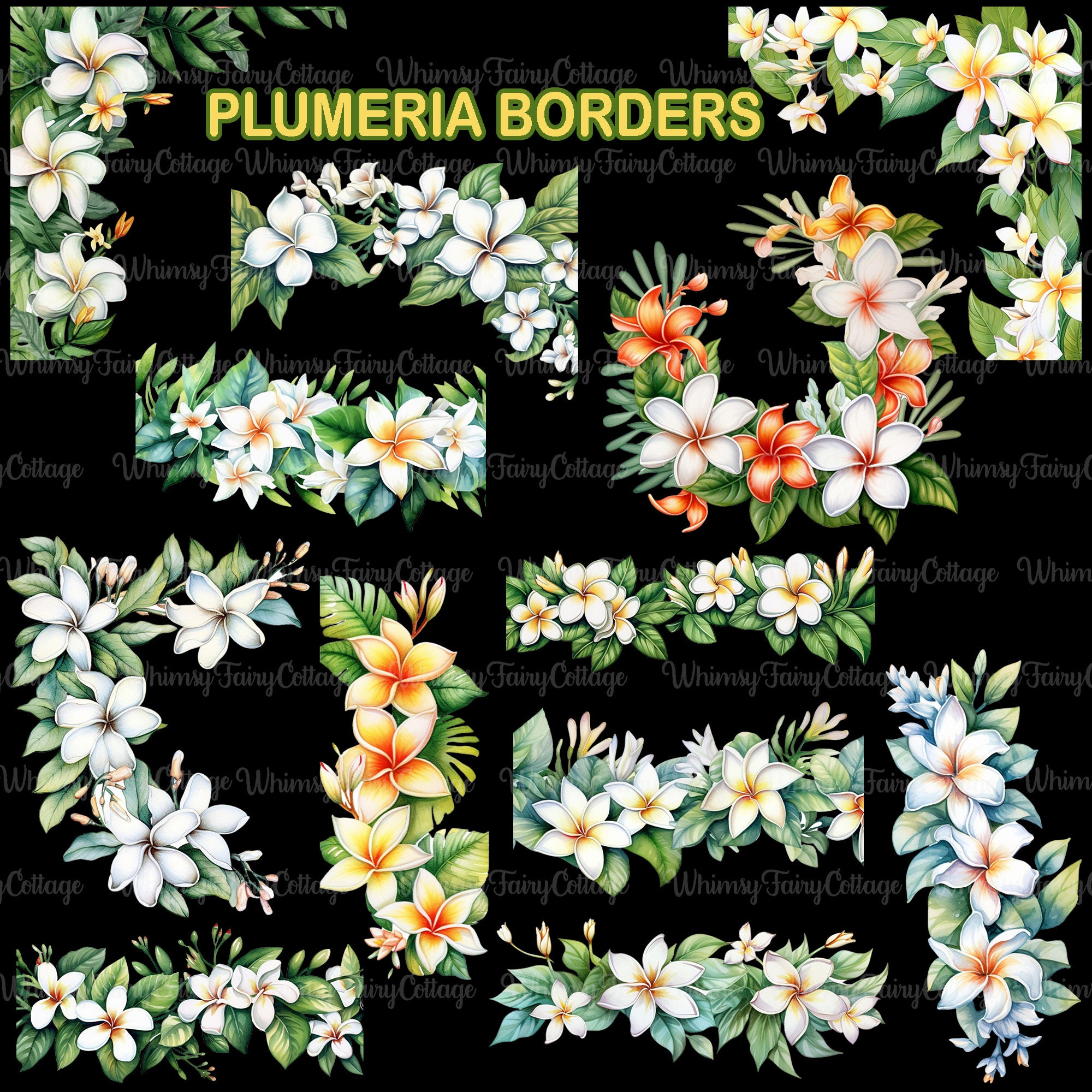 12 Plumeria Border Clipart Flower Borders PNG Watercolor - Etsy