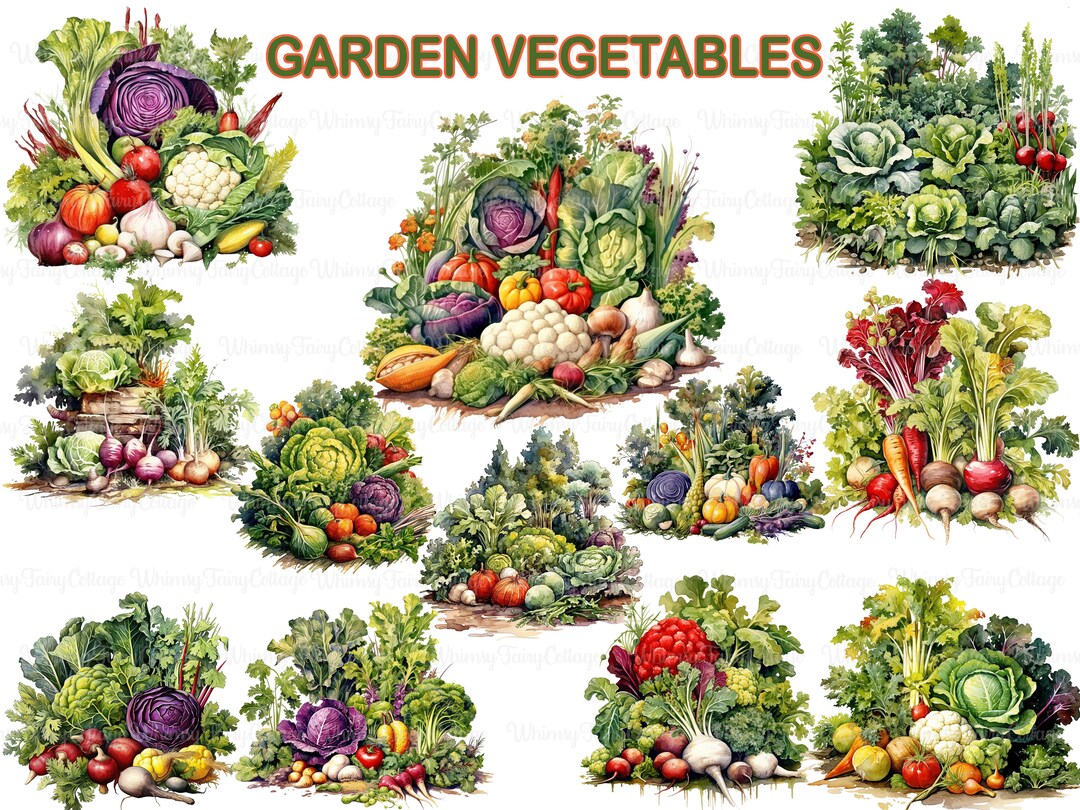 Garden Vegetable Clipart PNG Transparent, Vegetable Harvest PNG ...