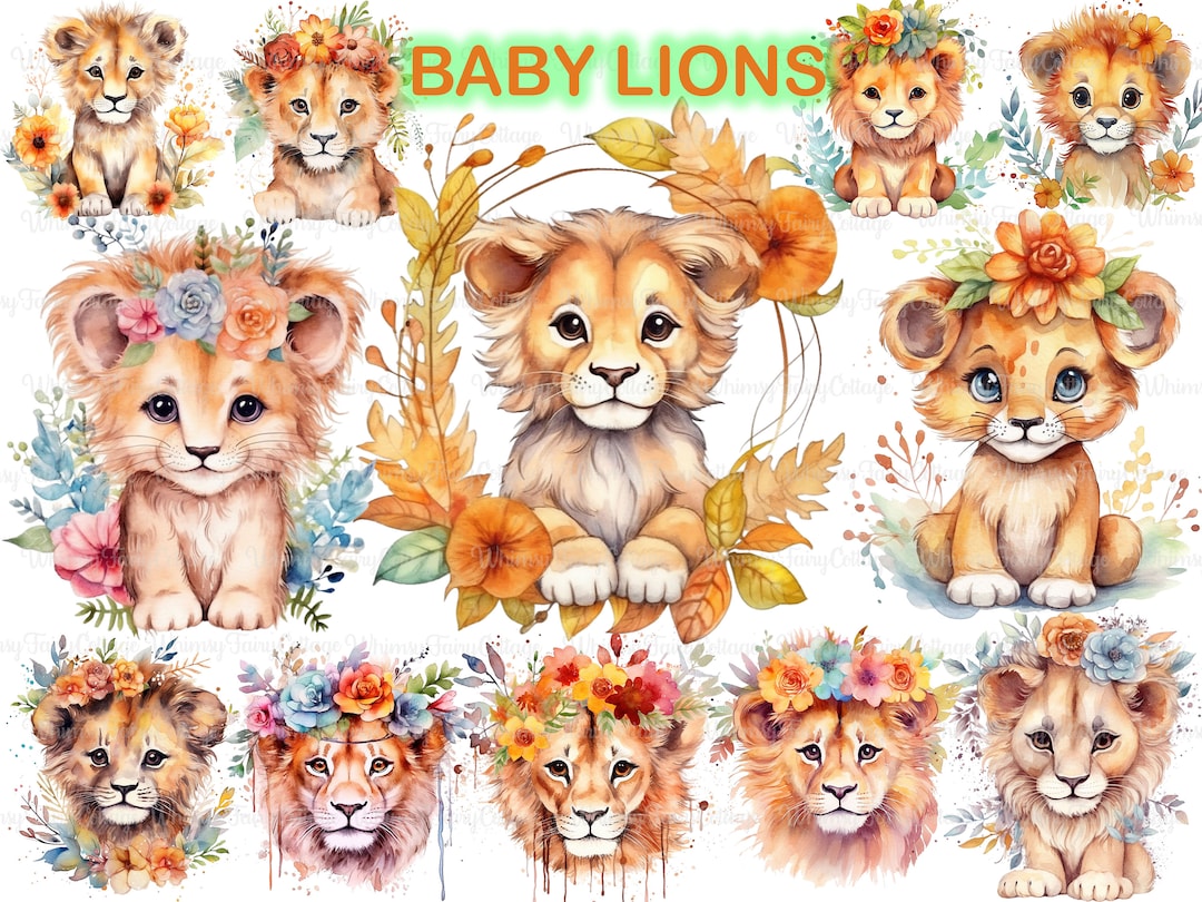 Baby Lion Clipart PNG Transparent, Baby Safari Animals Digital Clip Art ...